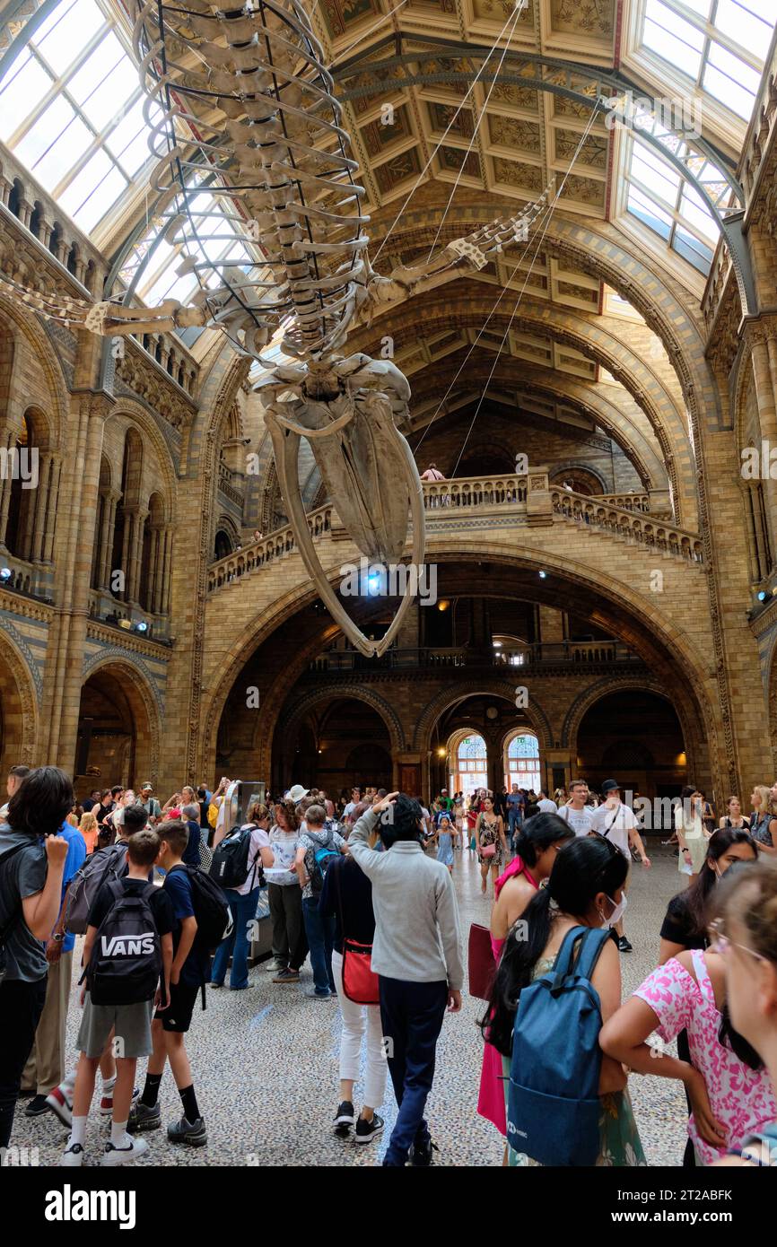 Magnificent Architecture in the Heart of the Natural History Museum. 10 ...