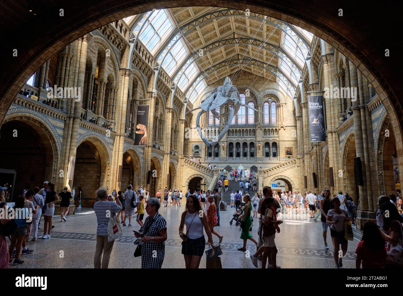 Magnificent Architecture in the Heart of the Natural History Museum ...
