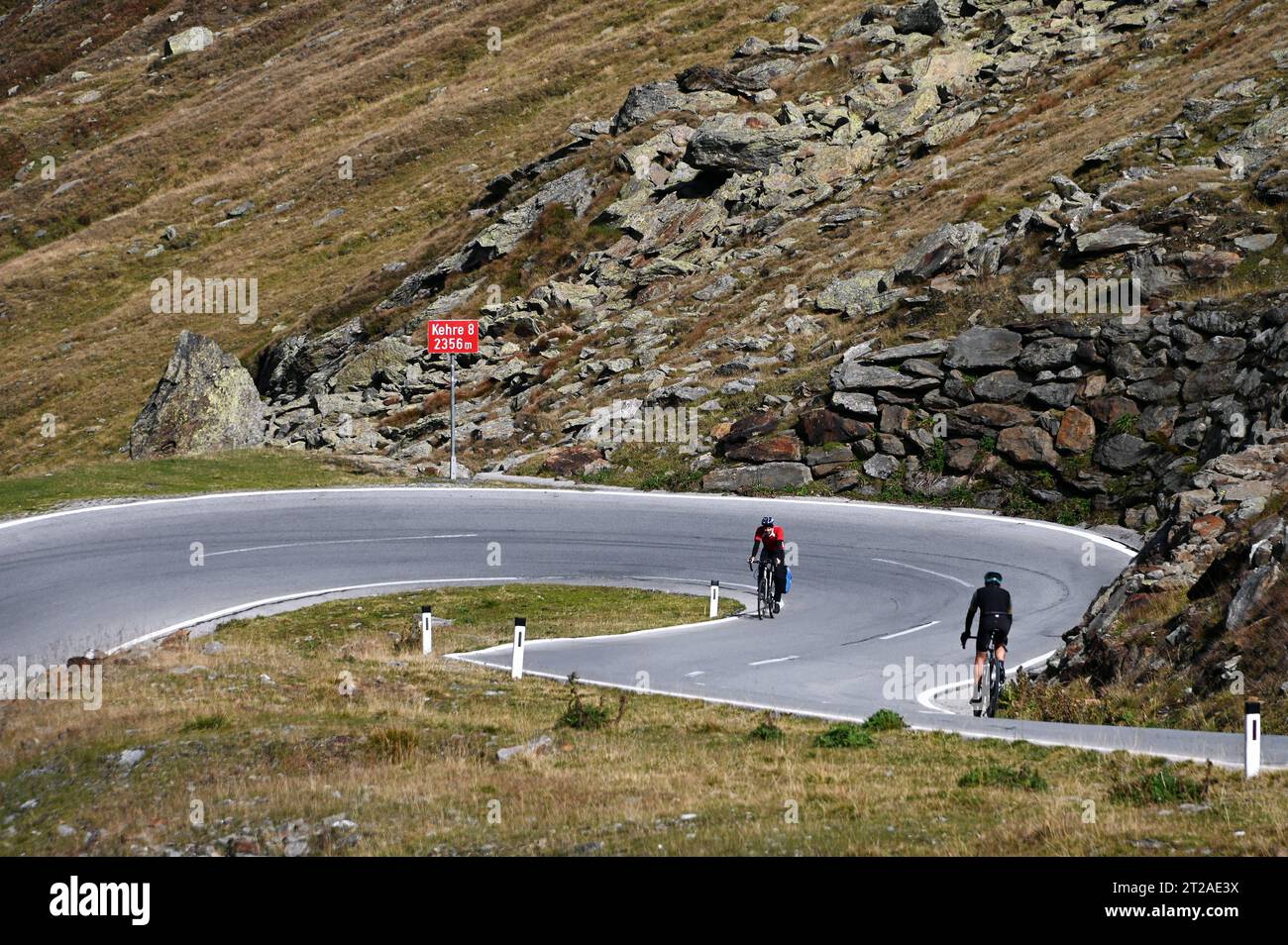 Rennradfahrer auf der Timmelsjoch Hochalpenstrasse zwischen Österreich ...