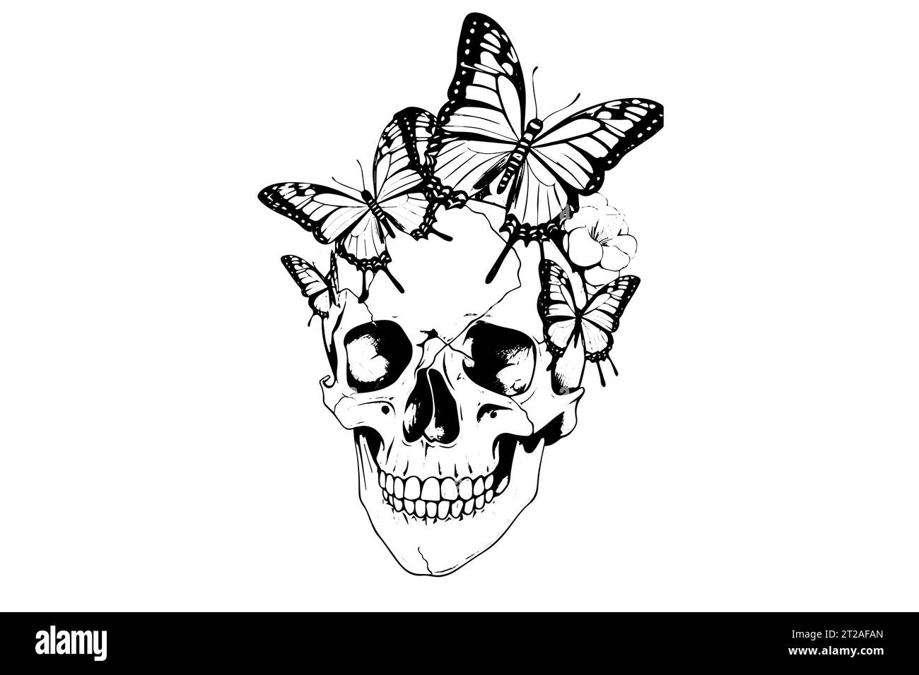 Skull with butterfly hand drawn ink sketch. Engraved style vector ...