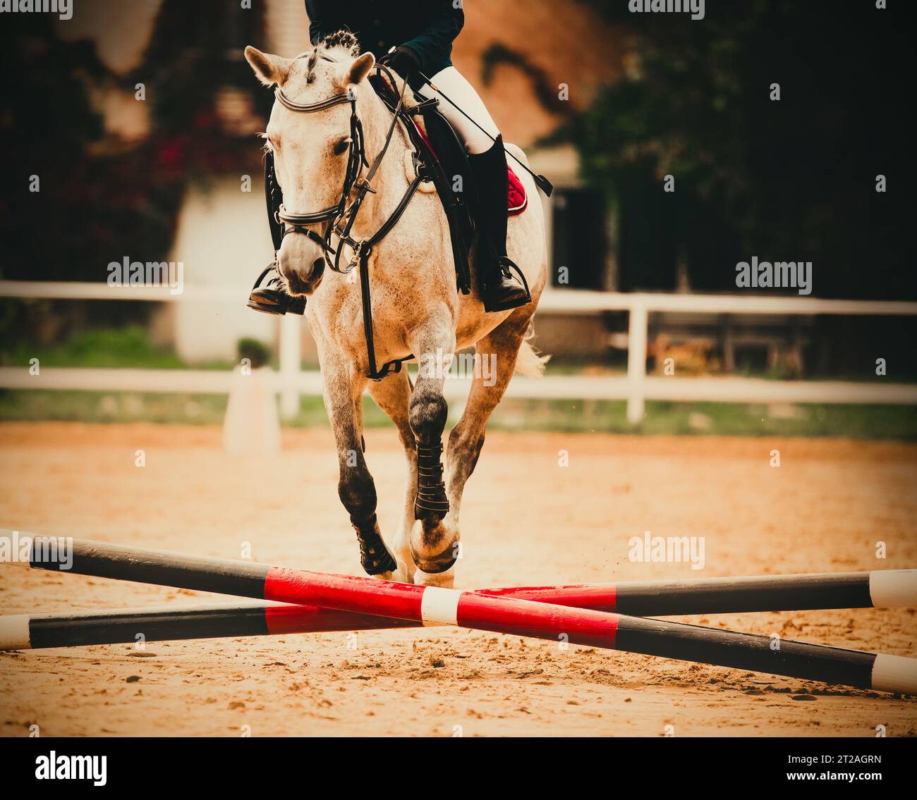 The moment a swift horse with a rider jumps over a small barrier at a ...