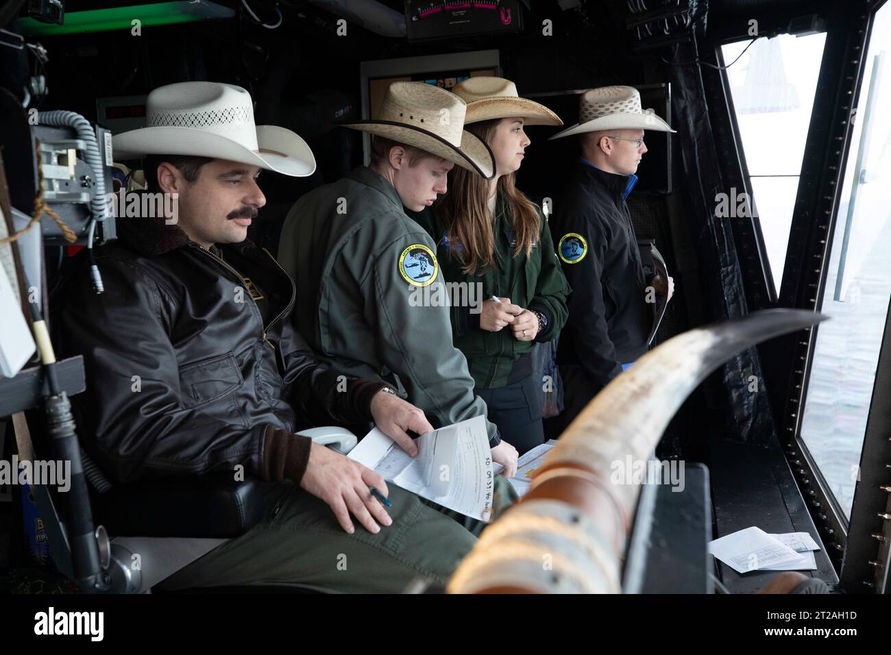 Artemis resource reel hi-res stock photography and images - Alamy