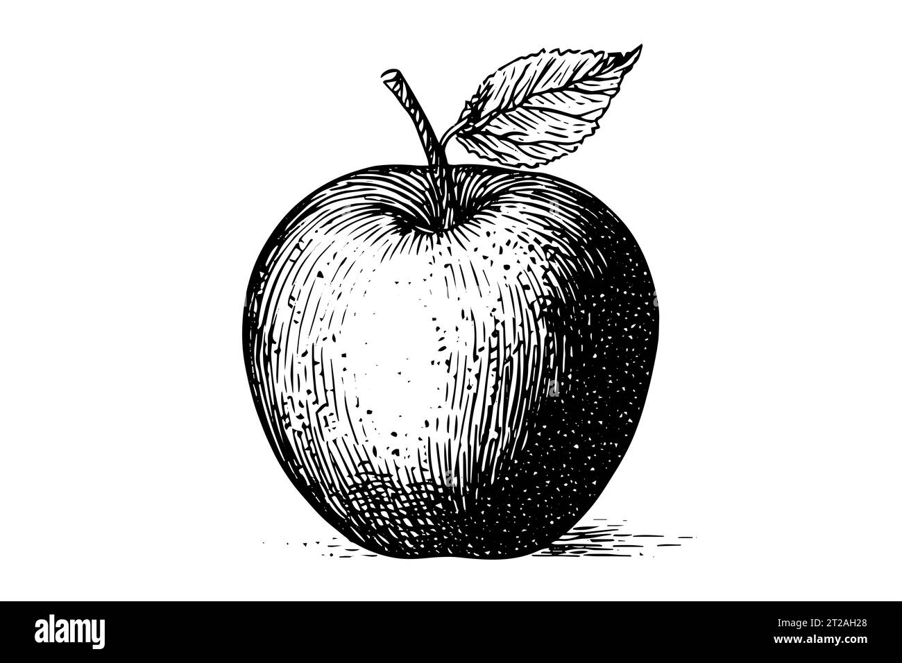 Apple fruit hand drawn ink sketch. Engraved style vector illustration ...