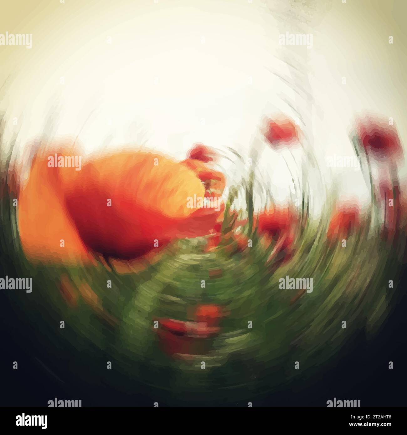 Blurred Poppy Flower Field Background Template Stock Vector Image & Art ...