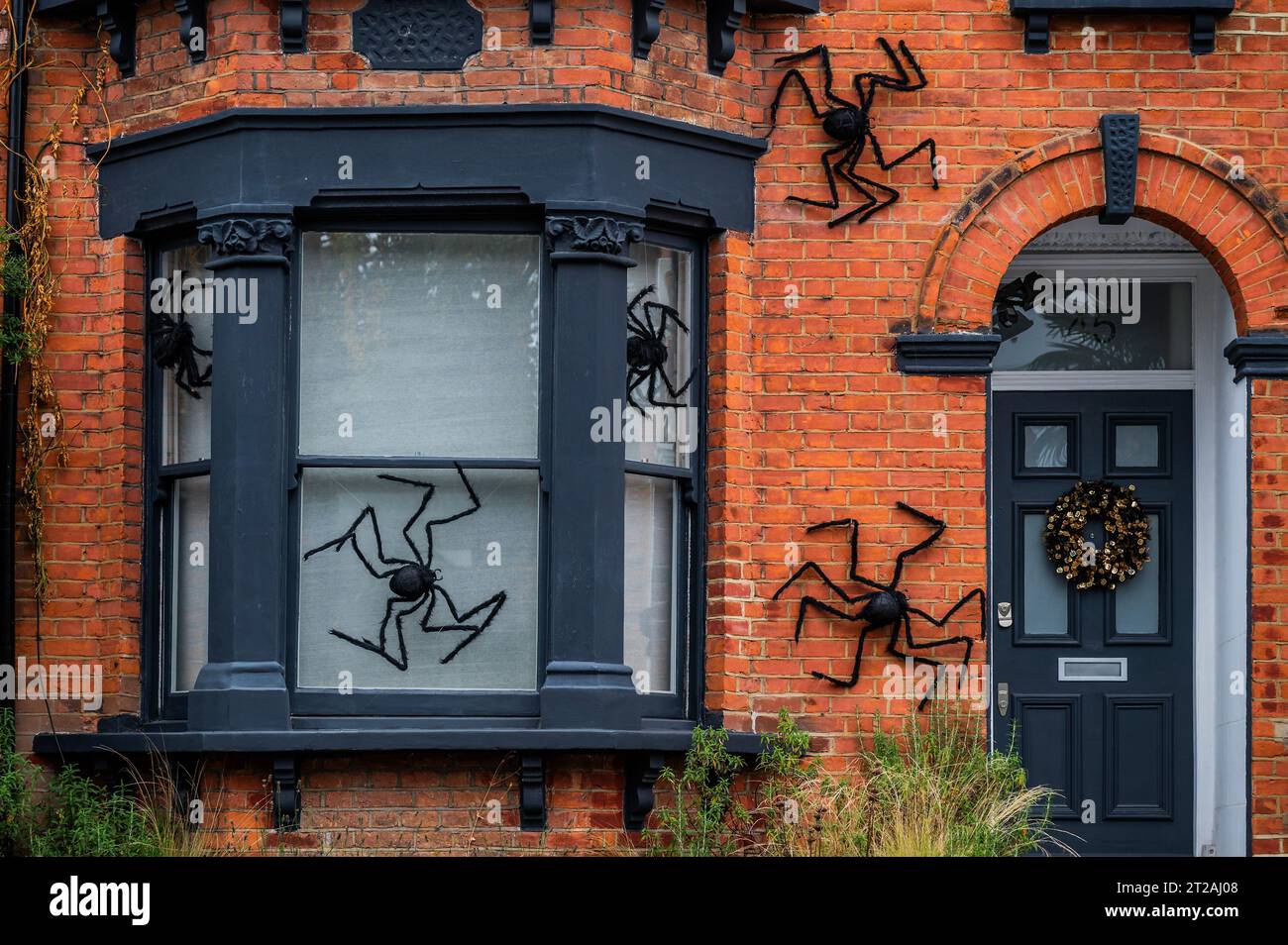 London, UK. 18th Oct, 2023. An infestation of spiders on the front of ...