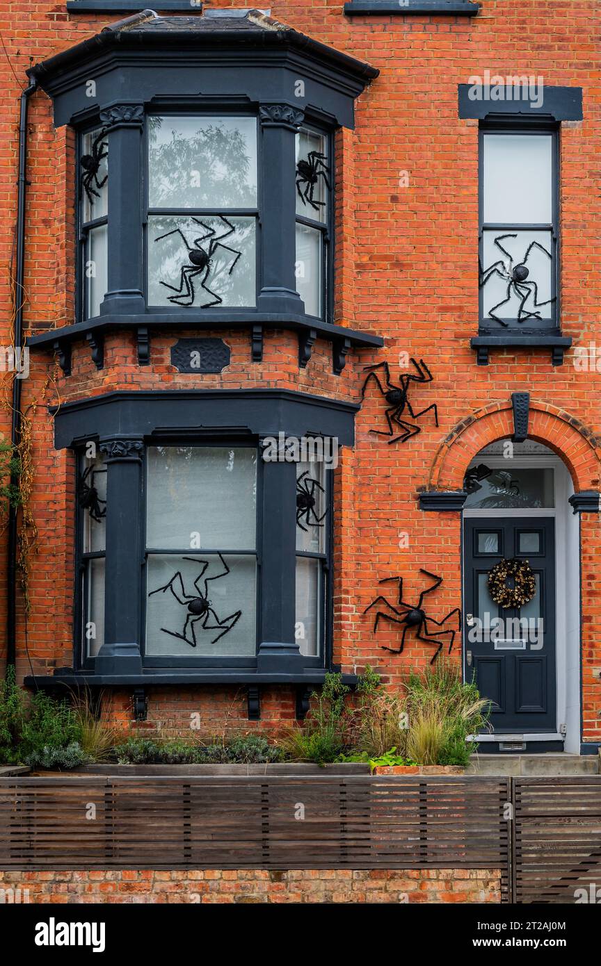 London, UK. 18th Oct, 2023. An infestation of spiders on the front of ...
