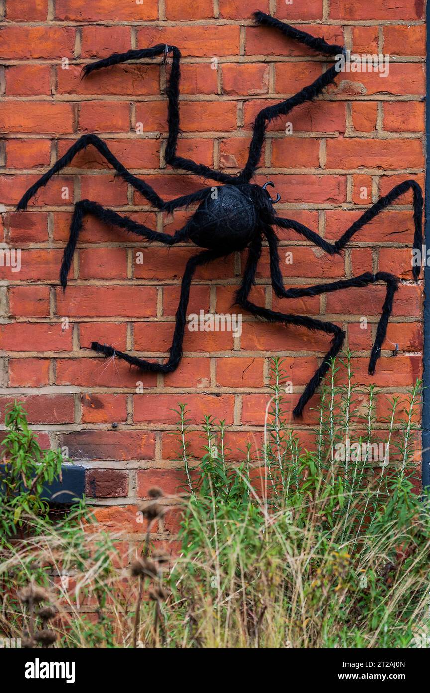 London, UK. 18th Oct, 2023. An infestation of spiders on the front of ...