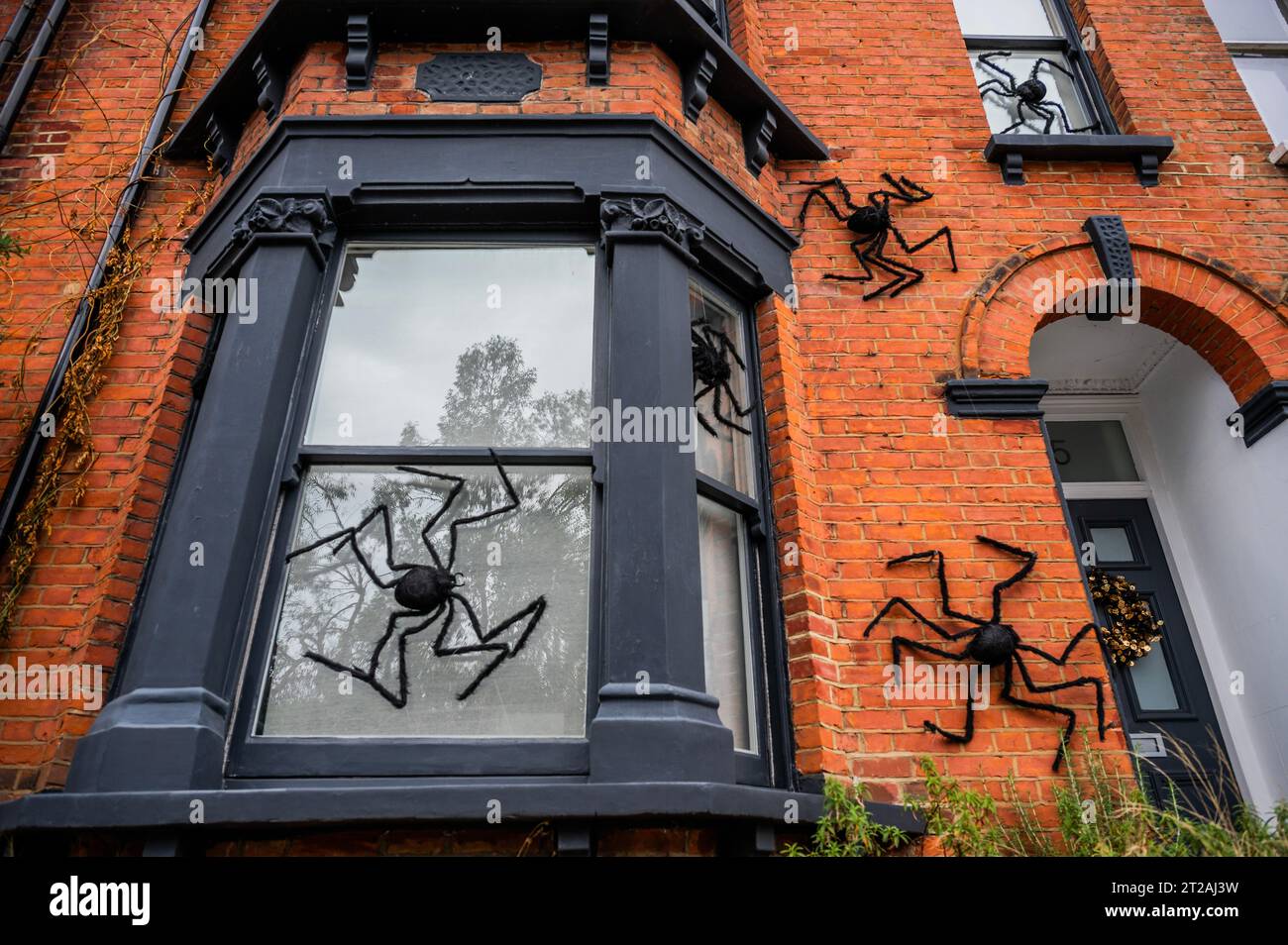 London, UK. 18th Oct, 2023. An infestation of spiders on the front of ...
