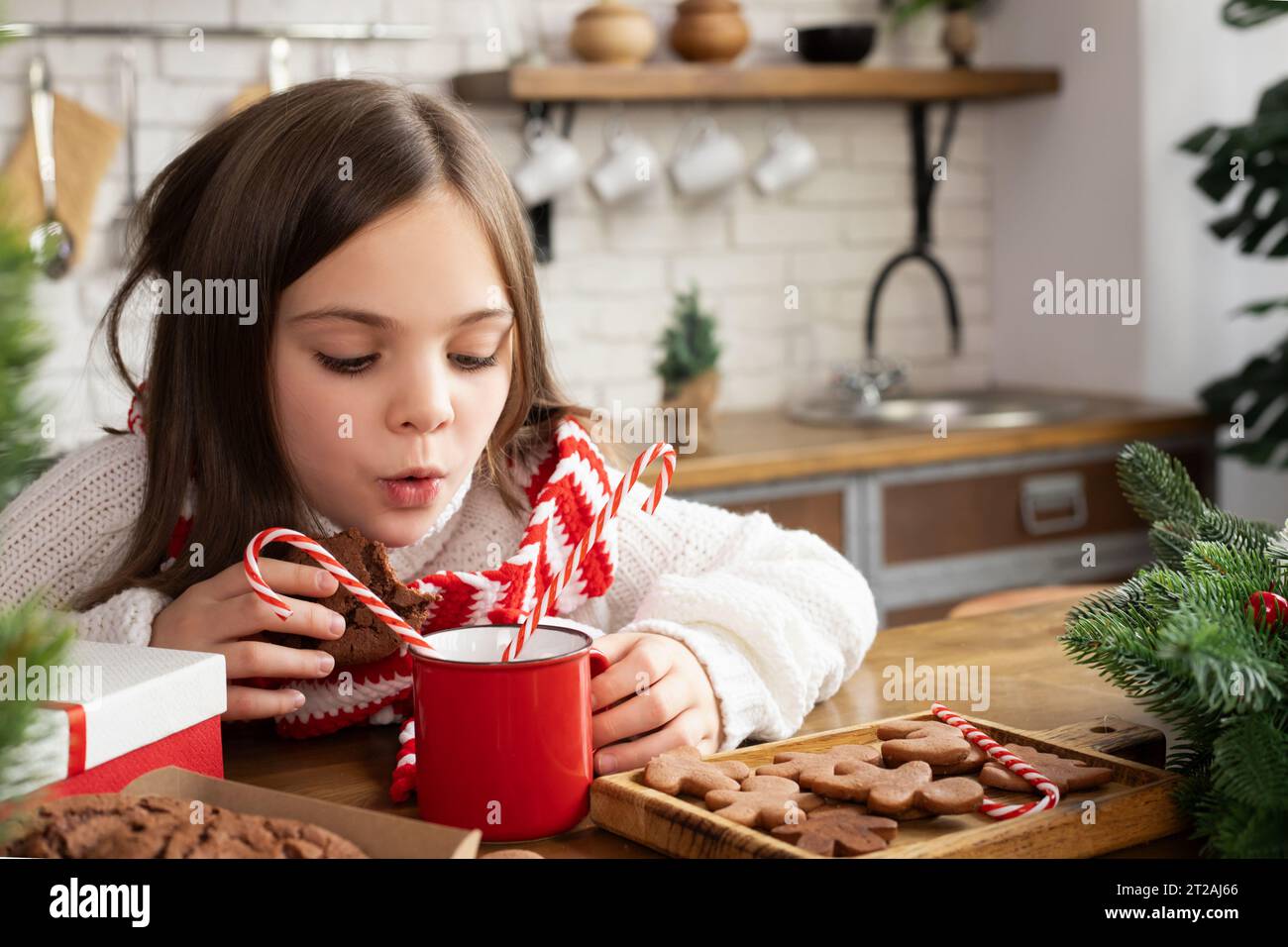 close-up of child eating chocolate biscuits and blowing on hot drink ...