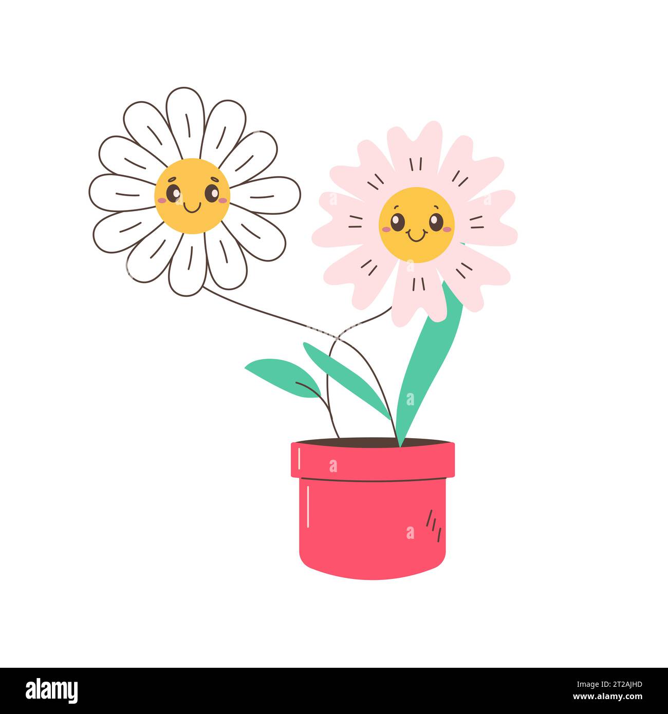 two daisies, chamomile, daisy flower in red pot. Vector illustration ...