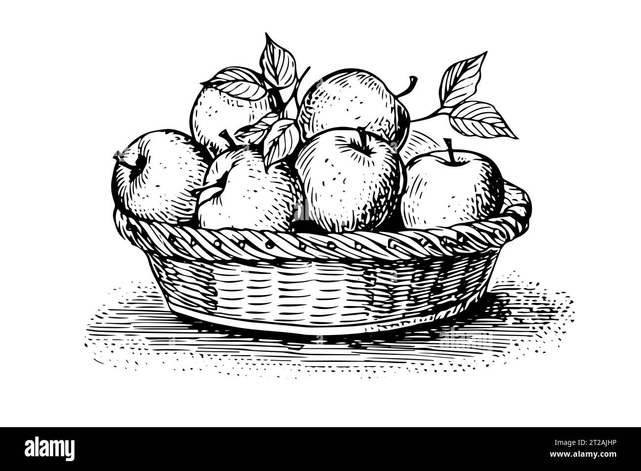 Basket full of apples hand drawn ink sketch. Engraved style vector ...