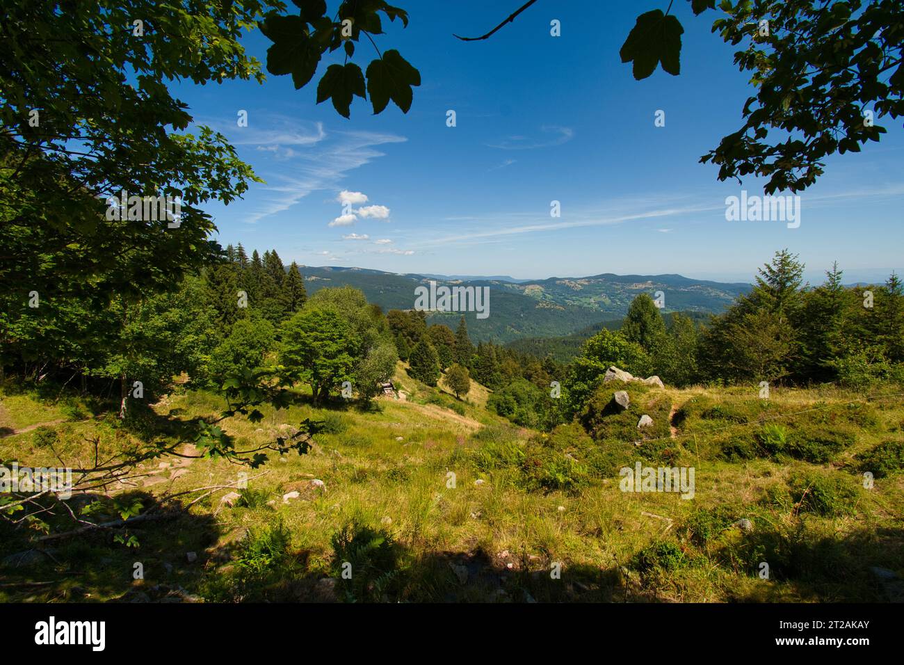 Late summer day in the heights of the Vosges mountains in France Stock ...