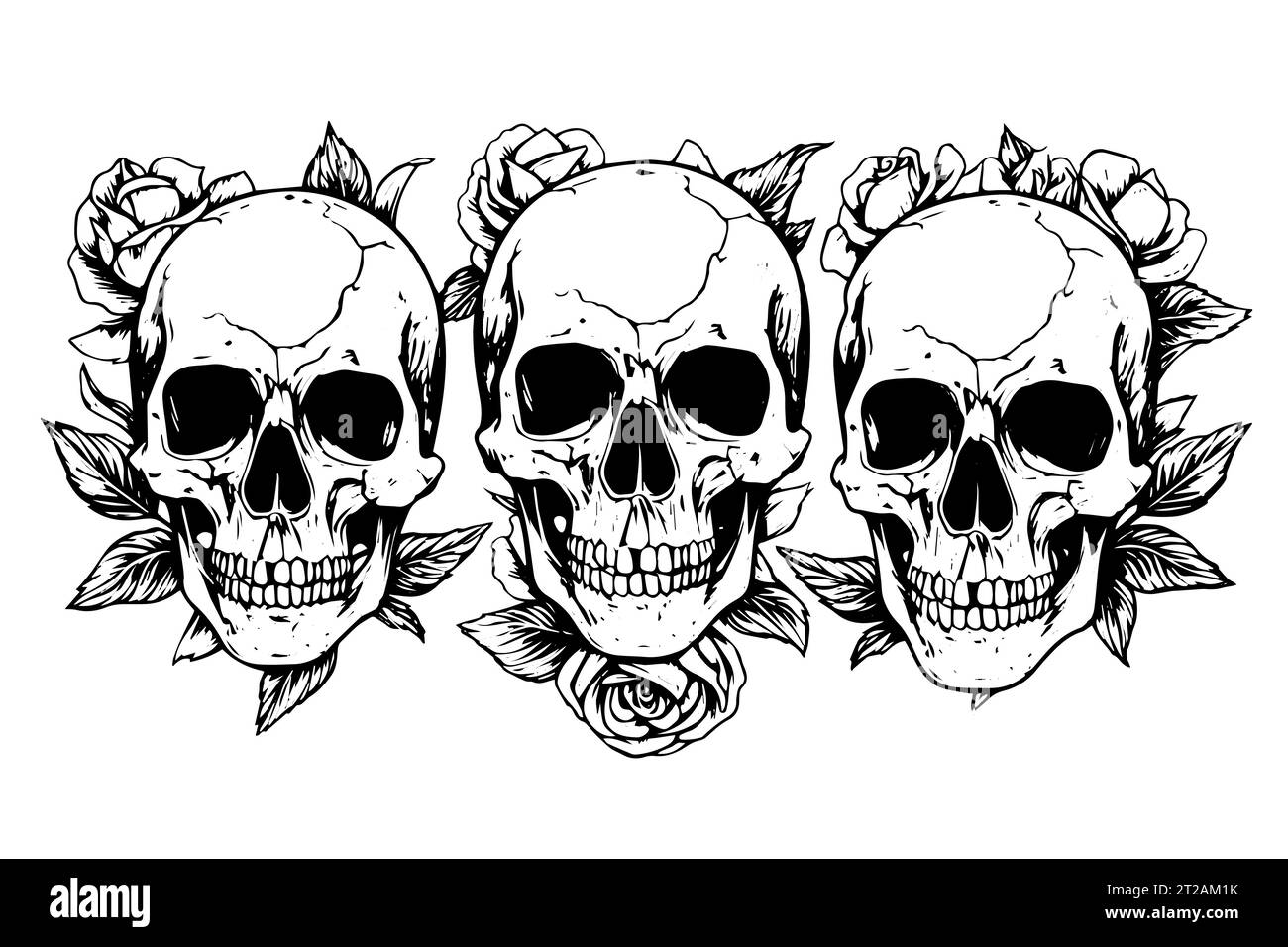 Skull with roses hand drawn ink sketch. Engraved style vector ...