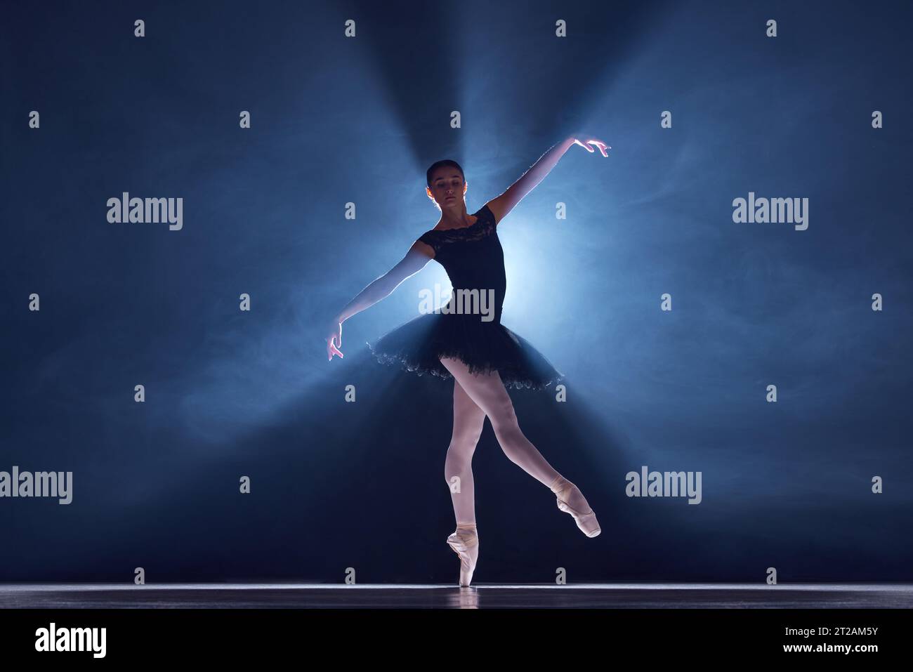 Elegant, artistic, tender ballerina, young woman dancing in tutu on ...