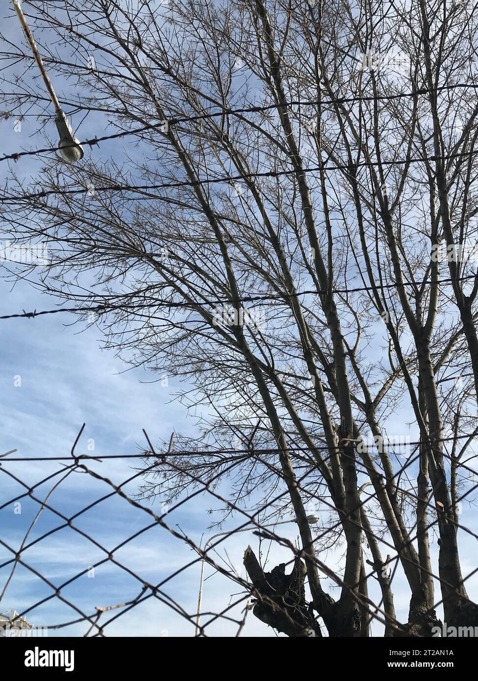 Alambre de púa hi-res stock photography and images - Alamy