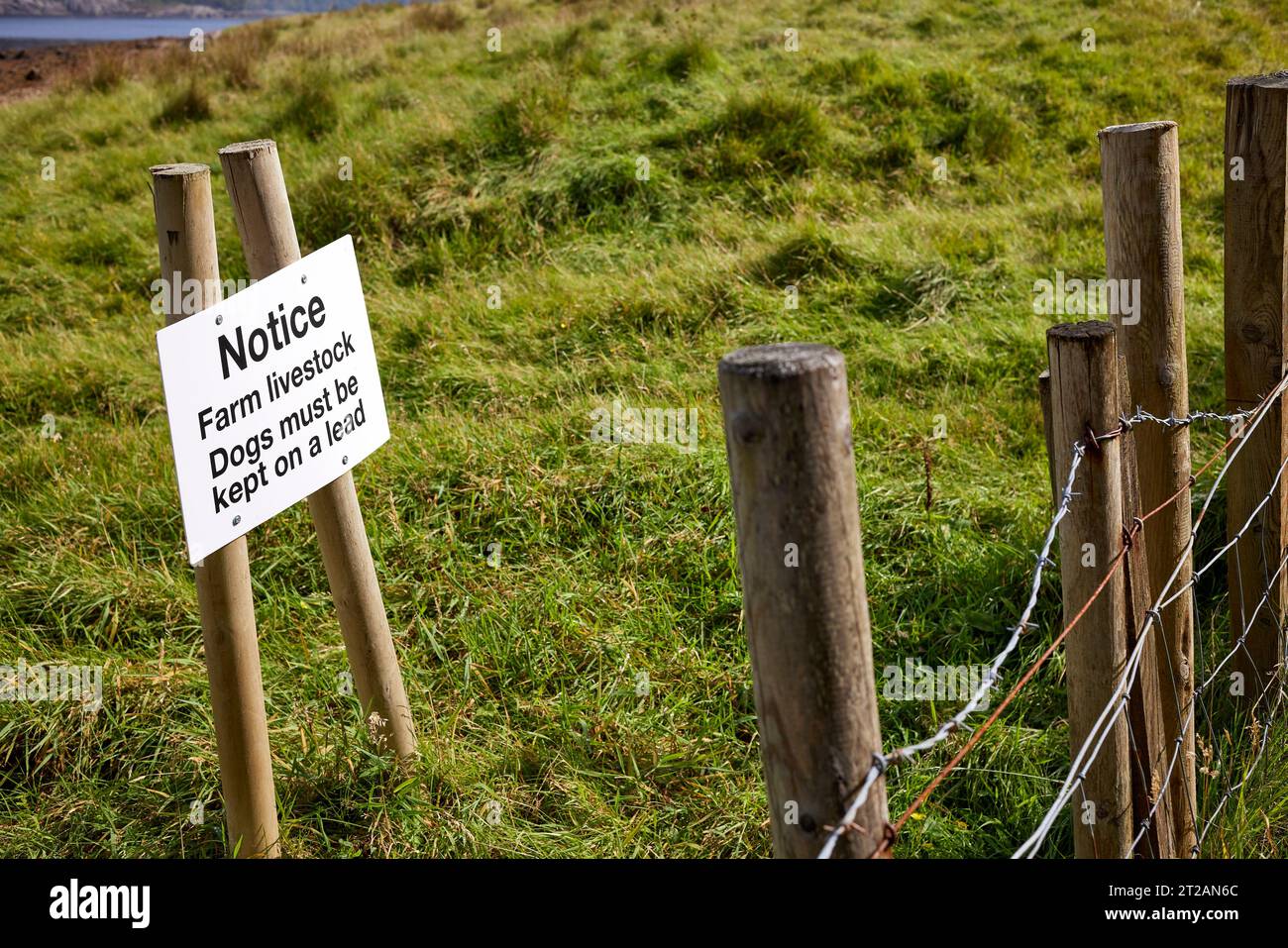 Farm livestock notice by Carrick Castle Stock Photo - Alamy