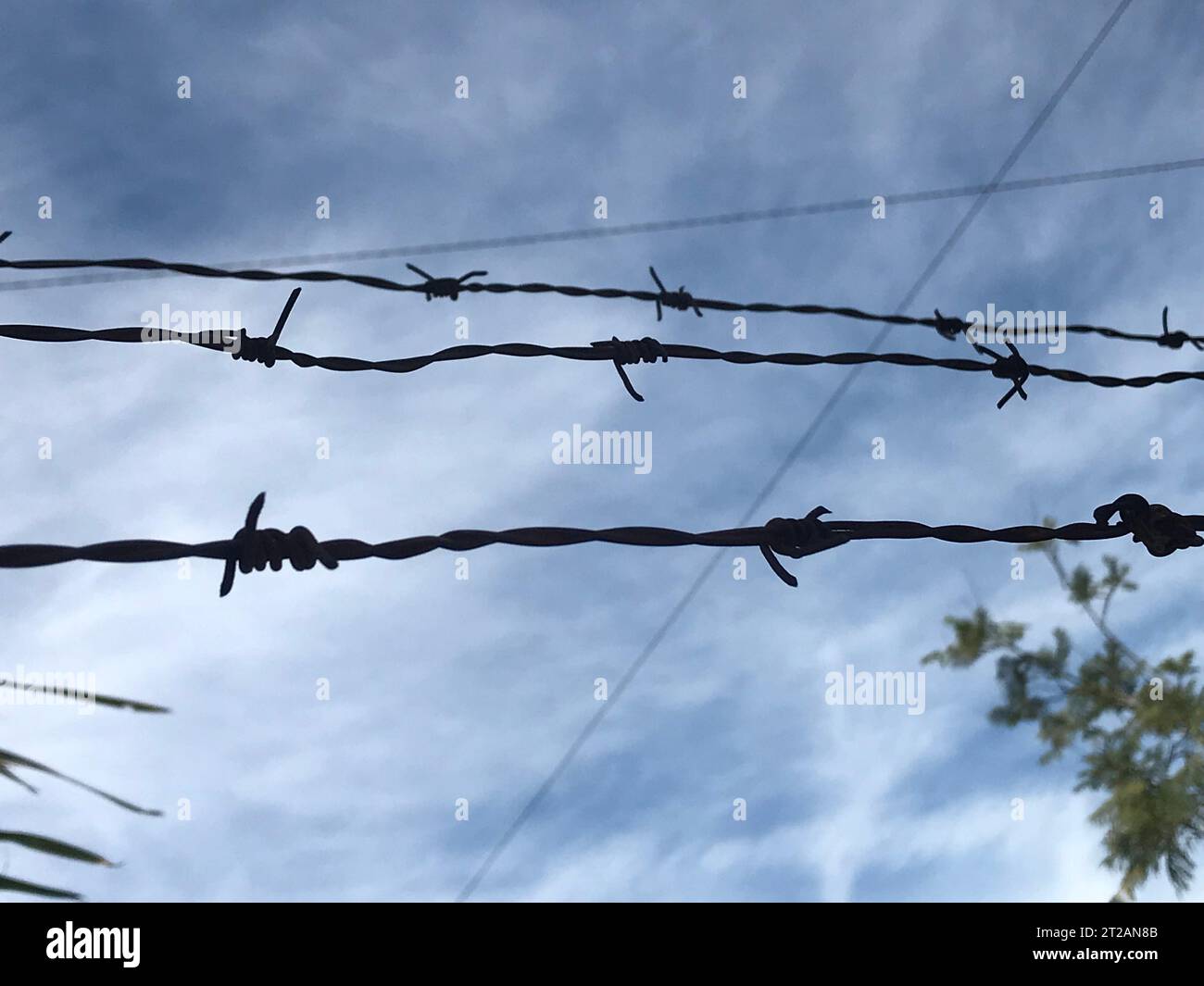 Defensive wire barrier hi-res stock photography and images - Alamy