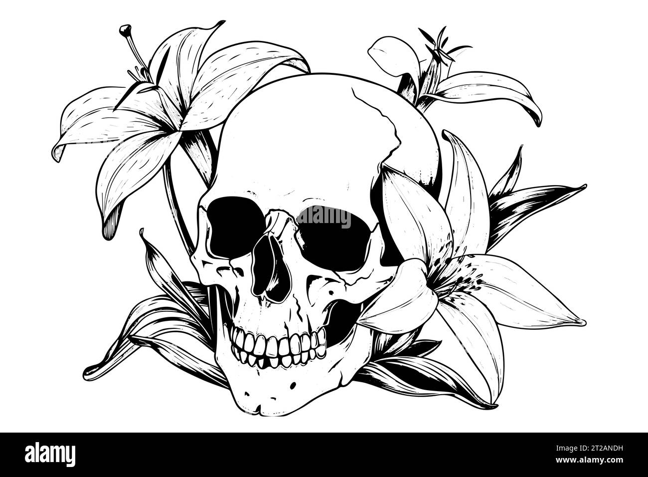 Skull with flower hand drawn ink sketch. Engraved style vector ...