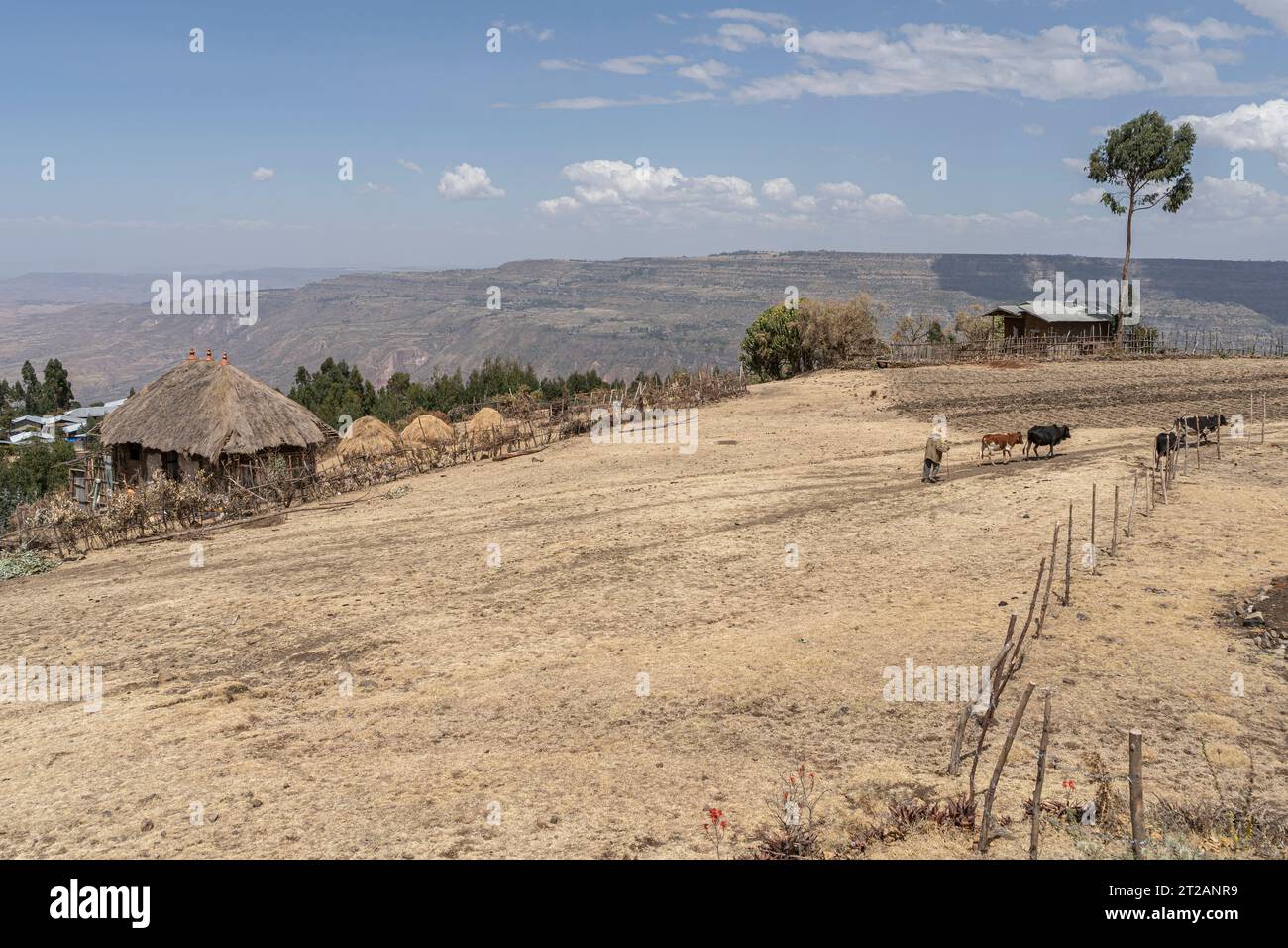 Ethiopian country village hi-res stock photography and images - Alamy