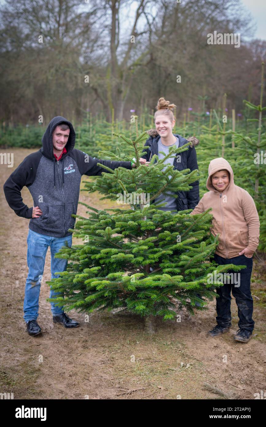 Christmas Tree Farm. Mother, father and their child with their freshly ...