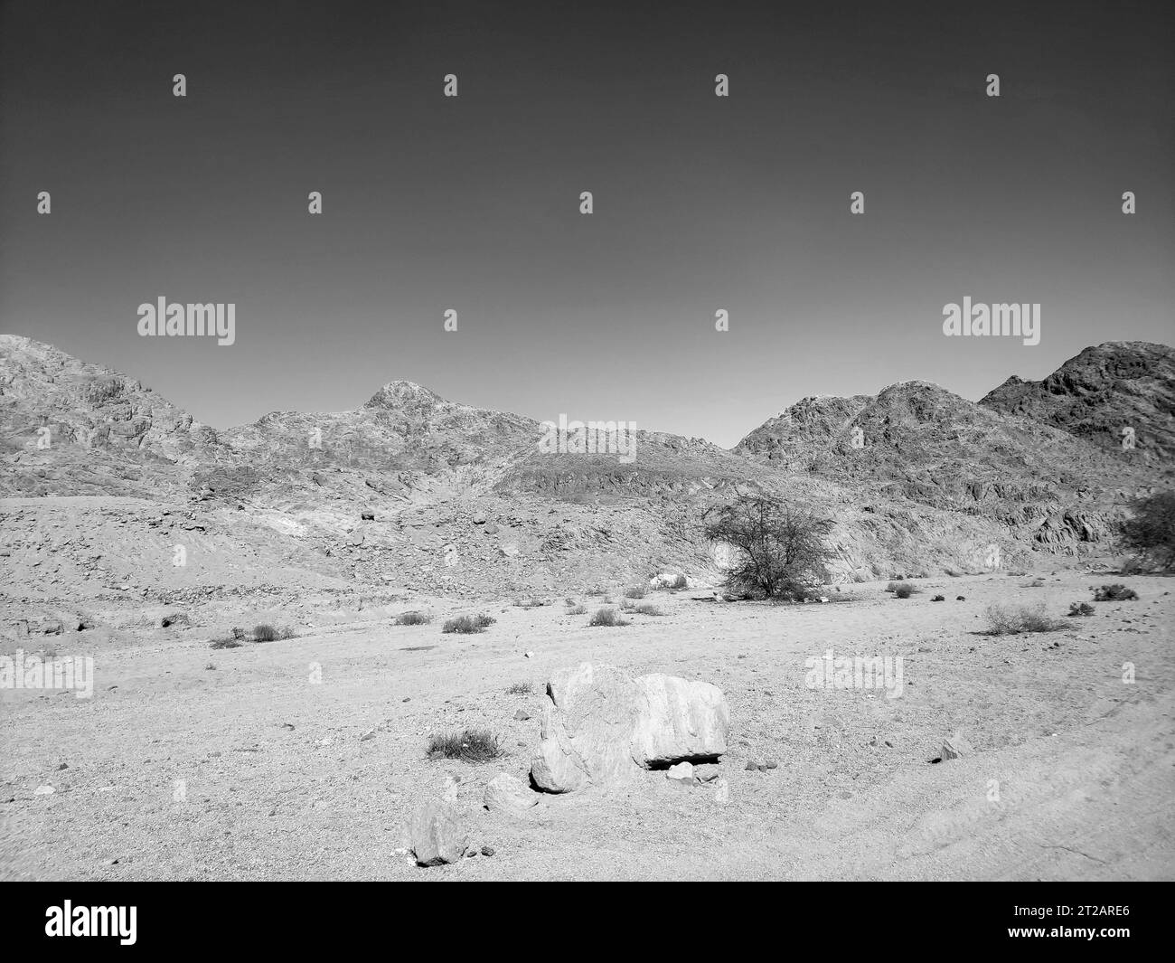 Sinai desert backgound with mountains, deserted landscape Stock Photo ...