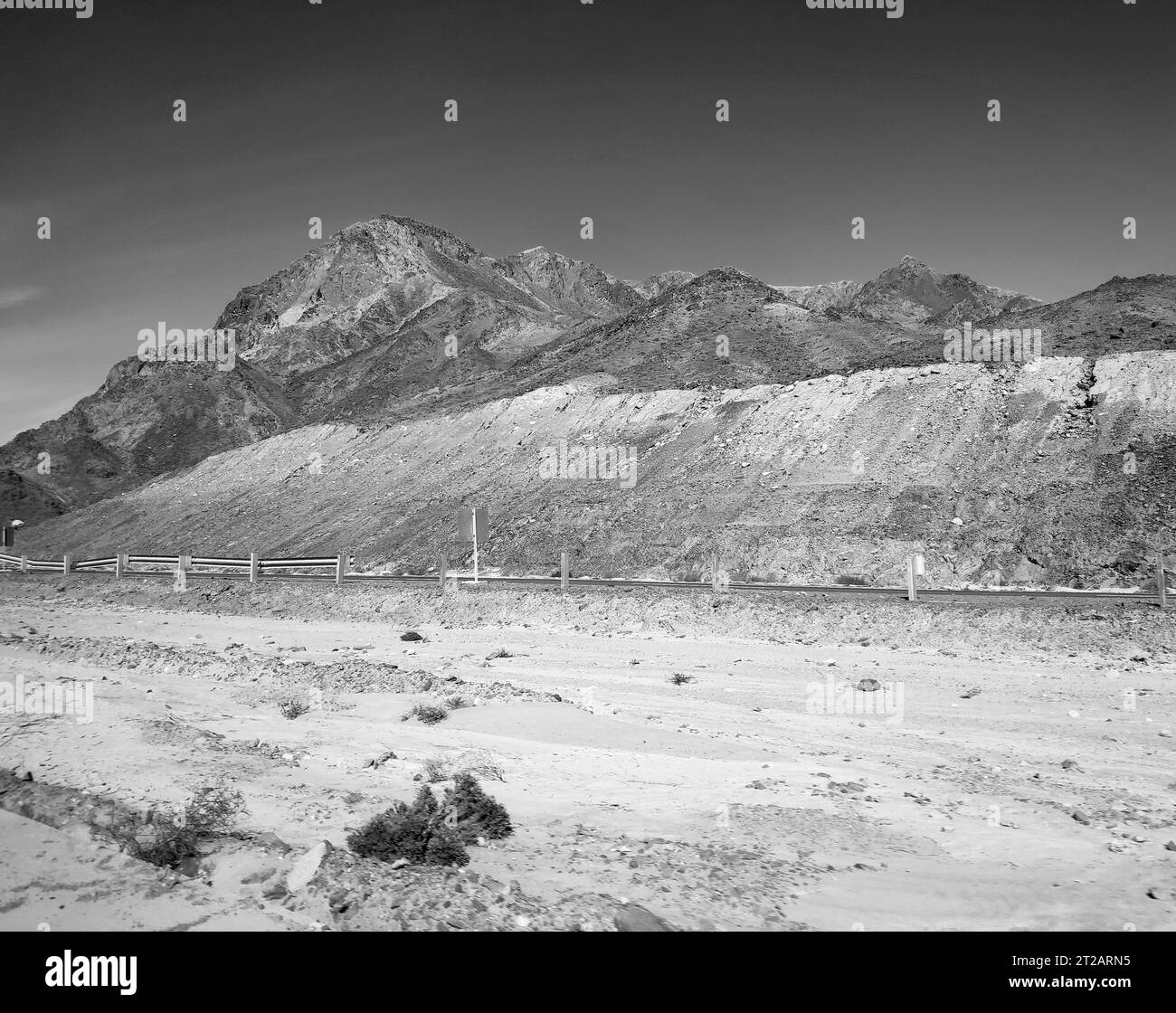 Desert Landscaping Walkway