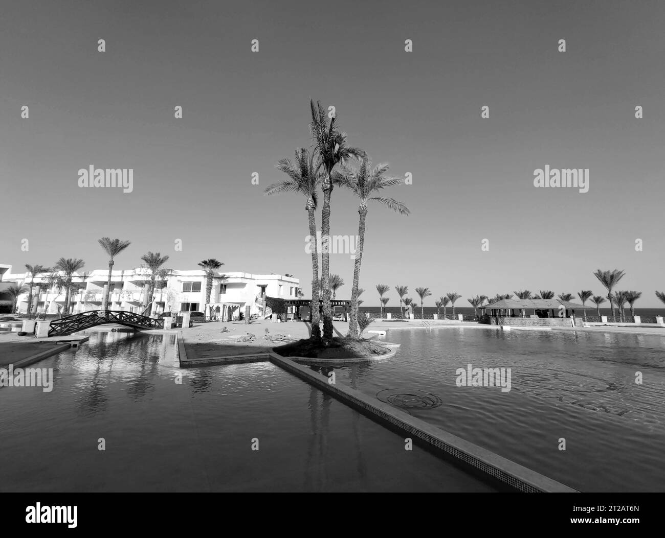Hotel and palm trees Black and White Stock Photos & Images - Alamy