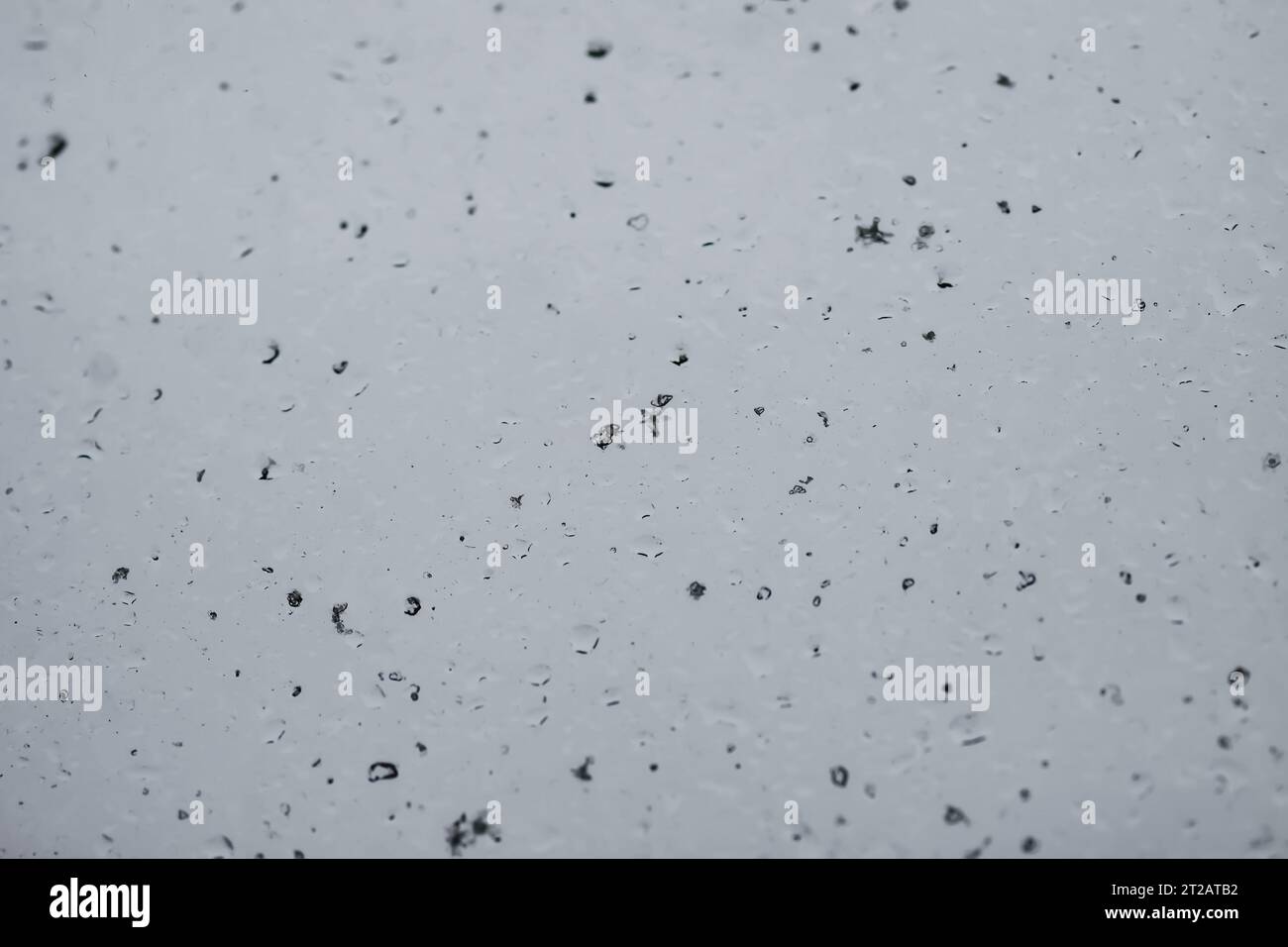 Misty window glass. Wet window background Stock Photo - Alamy