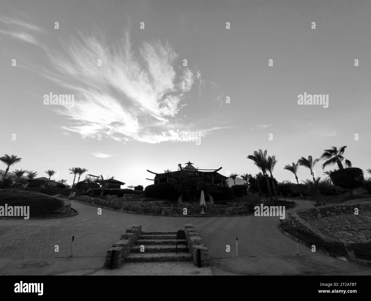 Hotel and palm trees Black and White Stock Photos & Images - Alamy