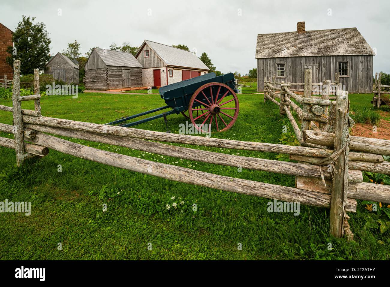Father georges antoine belcourt hi-res stock photography and images - Alamy