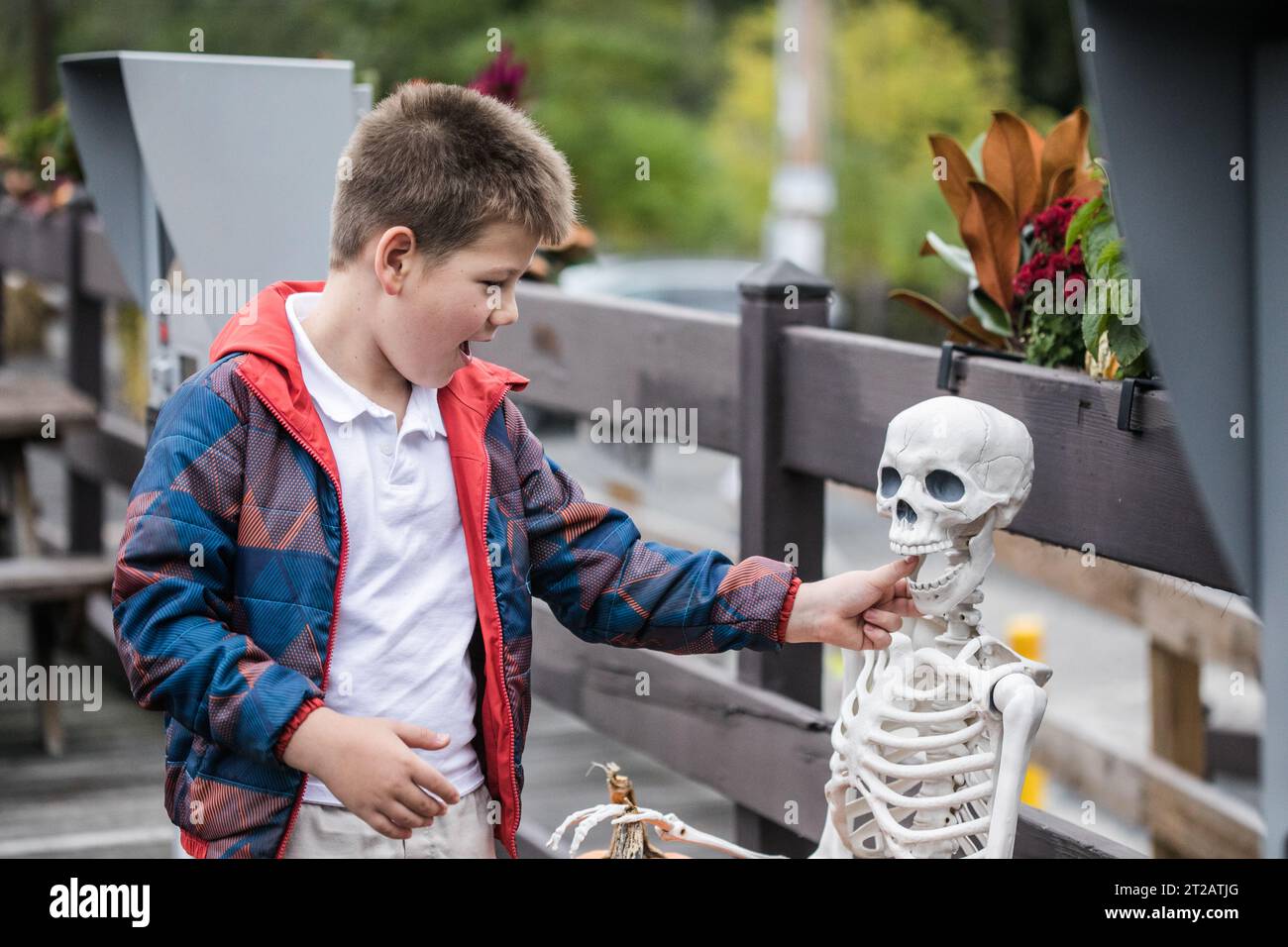 Smiling boy touching teeth you skeleton during Halloween teeth Stock ...