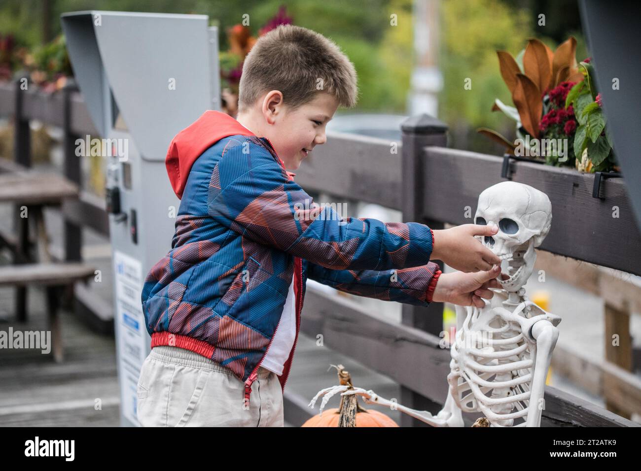 Smiling boy touching teeth you skeleton during Halloween teeth Stock ...