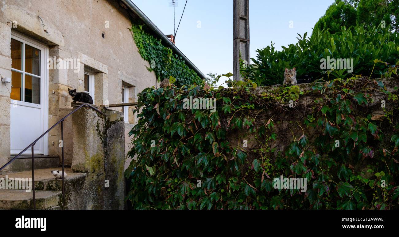Life in France -Cher Stock Photo - Alamy