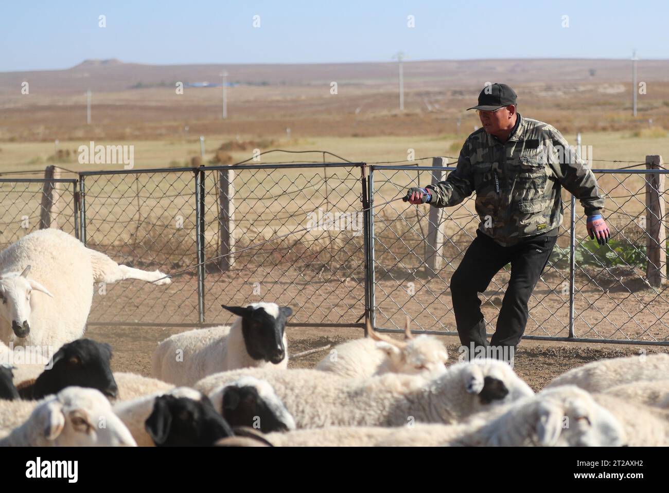 Daily catches hi-res stock photography and images - Alamy