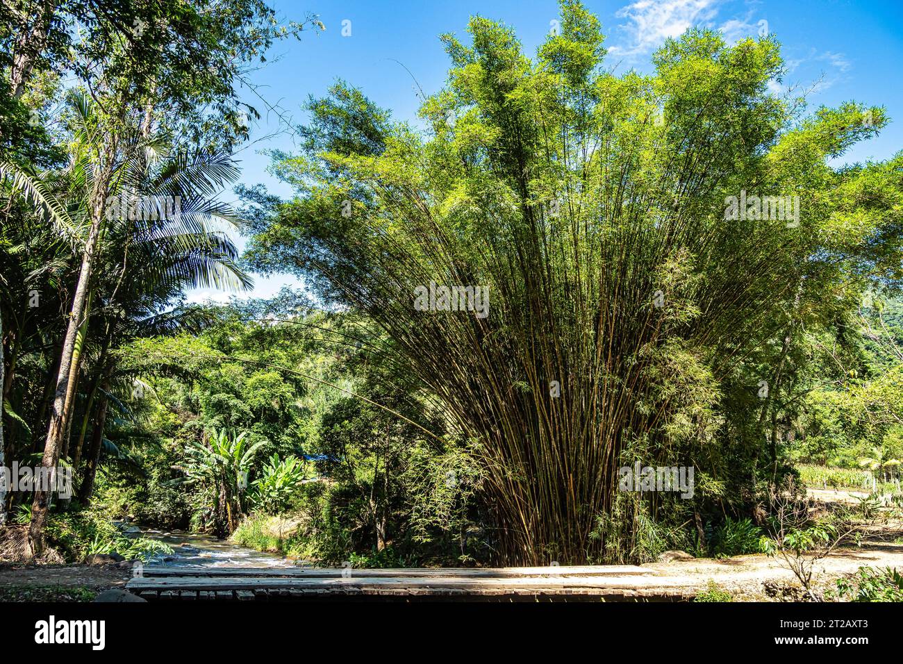 Beautiful landscape view of Atalaia Park, Itajai City, Brazil. Parque ...