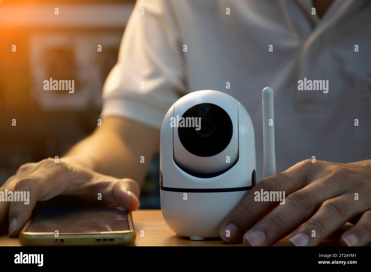 IP wifi wireless security camera supports Internet installation ...