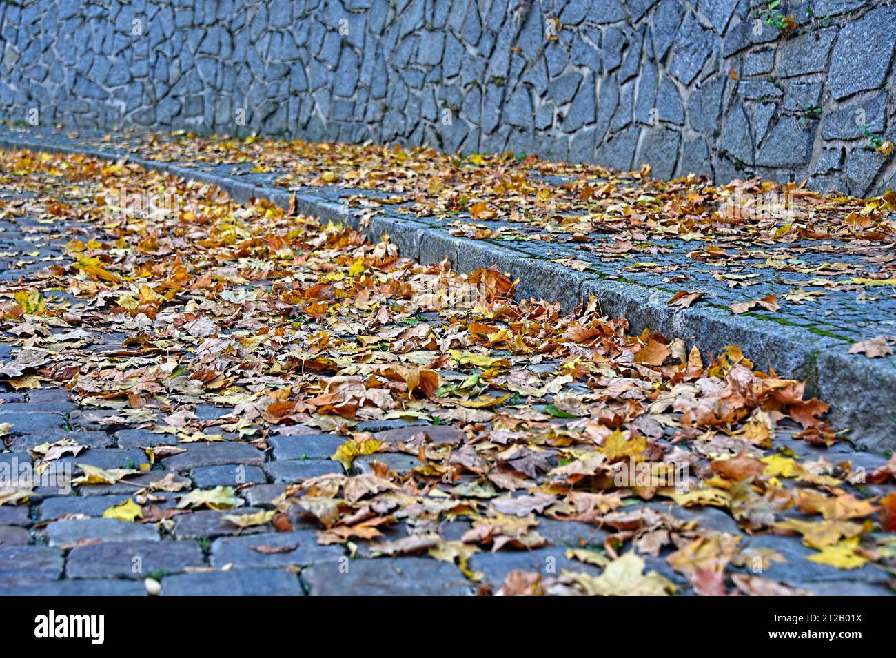 Autumn leaves on cobbled road and pavement - Prague, Czech Republic ...