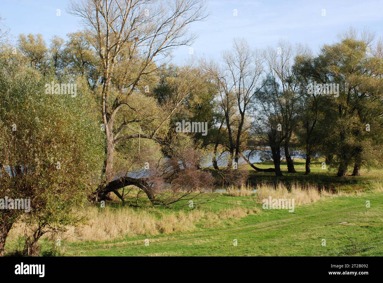 Elbarme hi-res stock photography and images - Alamy