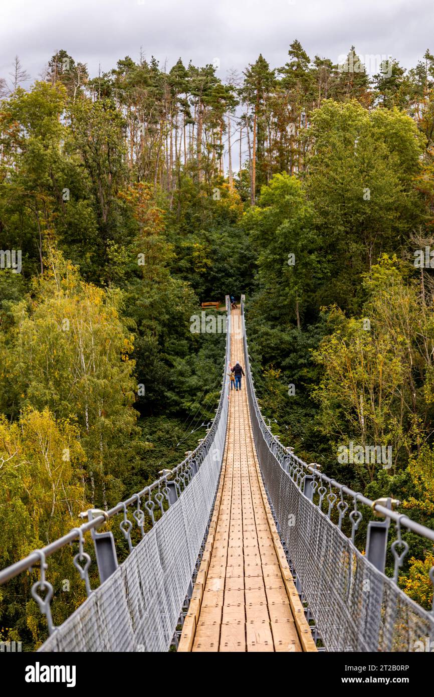 Autumn hike through the Hohe Schrecke Nature Park in Kyffhäuser ...