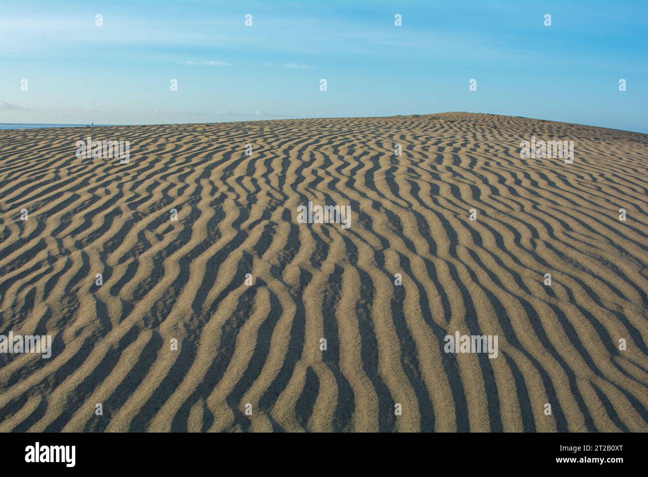 Summer heat lines hi-res stock photography and images - Alamy
