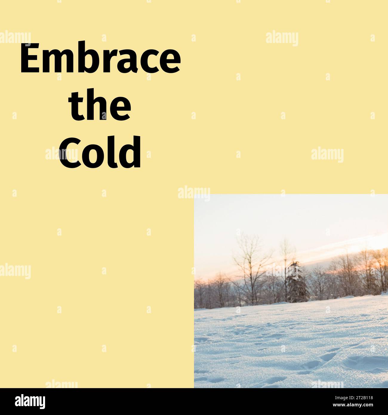 Composite of embrace the cold text over winter landscape background ...