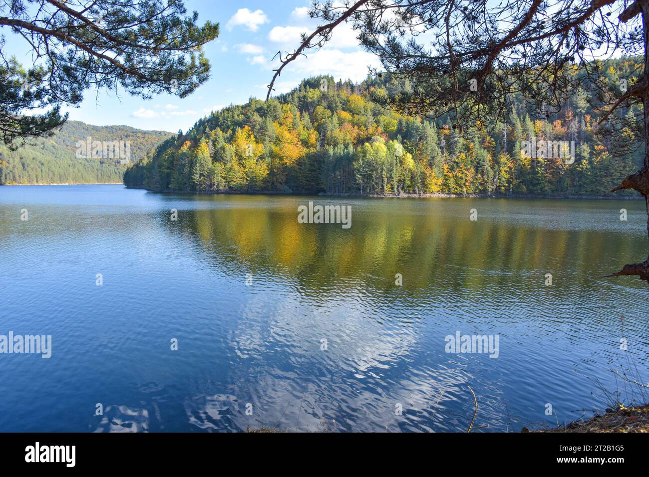 Autumn landscape with a lake in the forest, trees and blue sky, Berovo ...