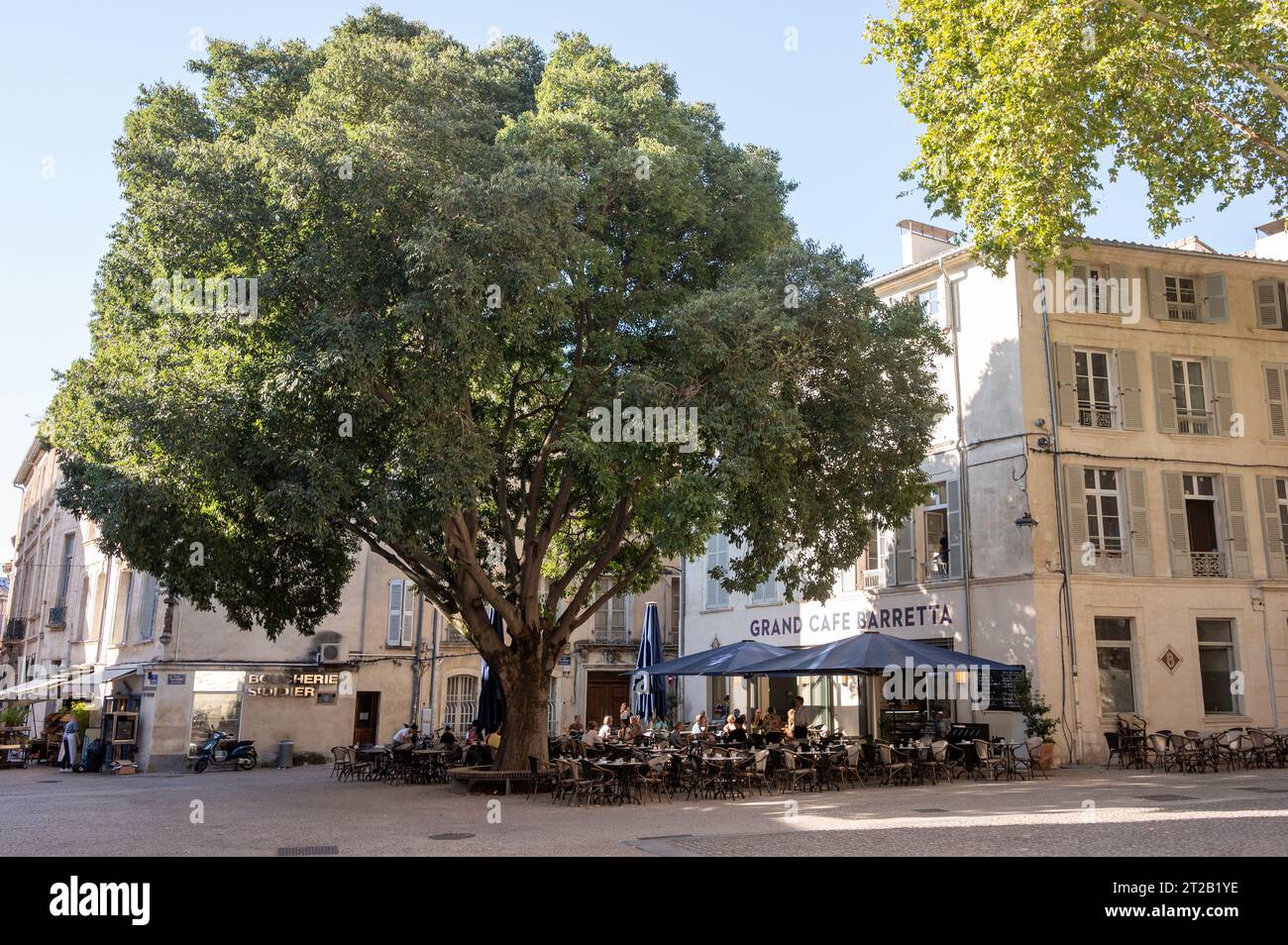People eat breakfast at the Grand Cafe Barretta under a large tree in ...