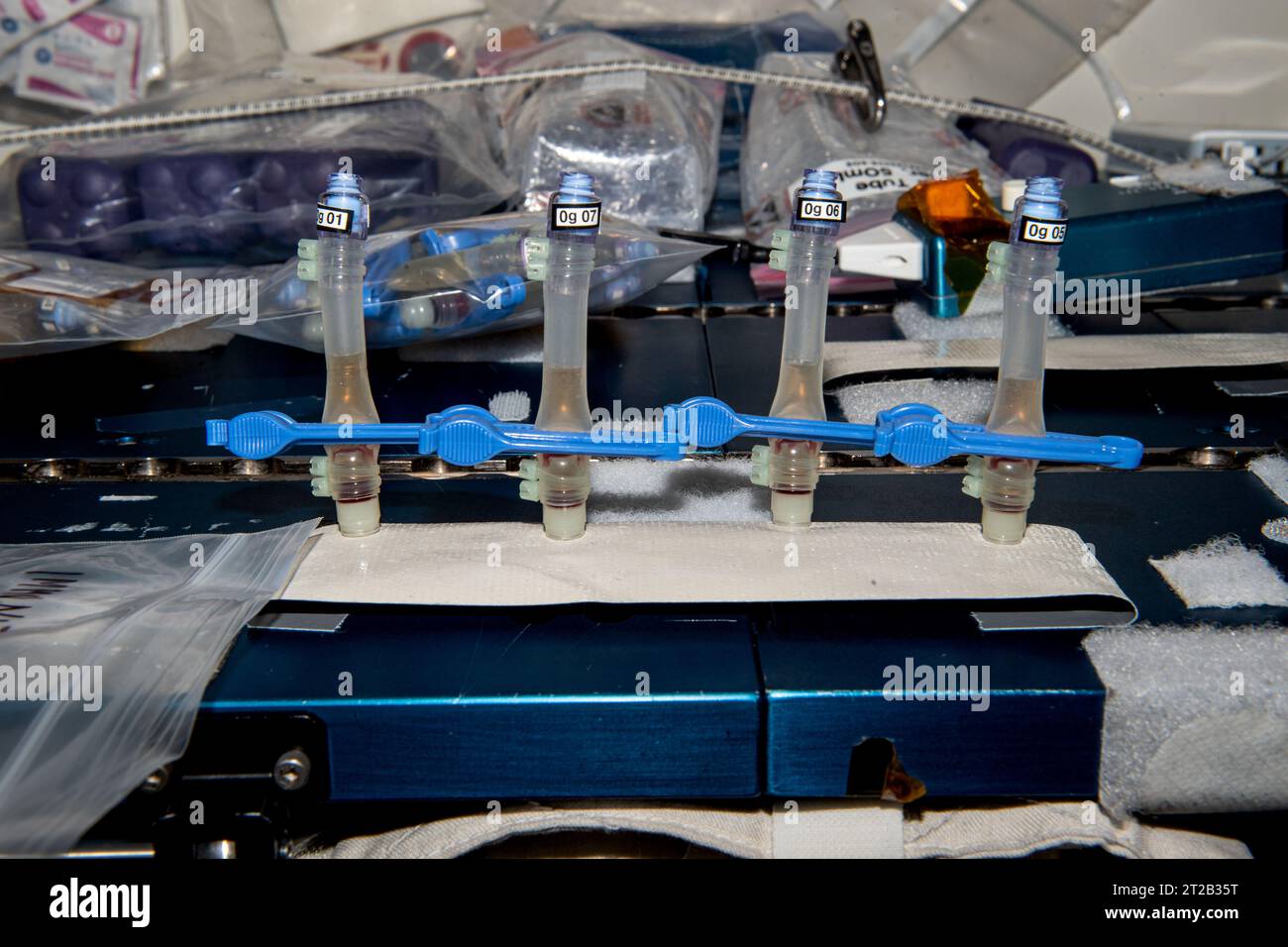 . iss069e086233 (9/8/2023) --- A view of sample preparation for ...