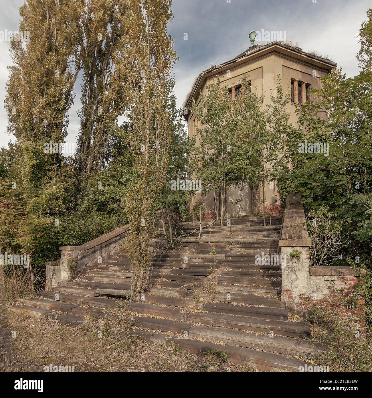 A beautiful house is situated amidst a lush green forest, surrounded by ...