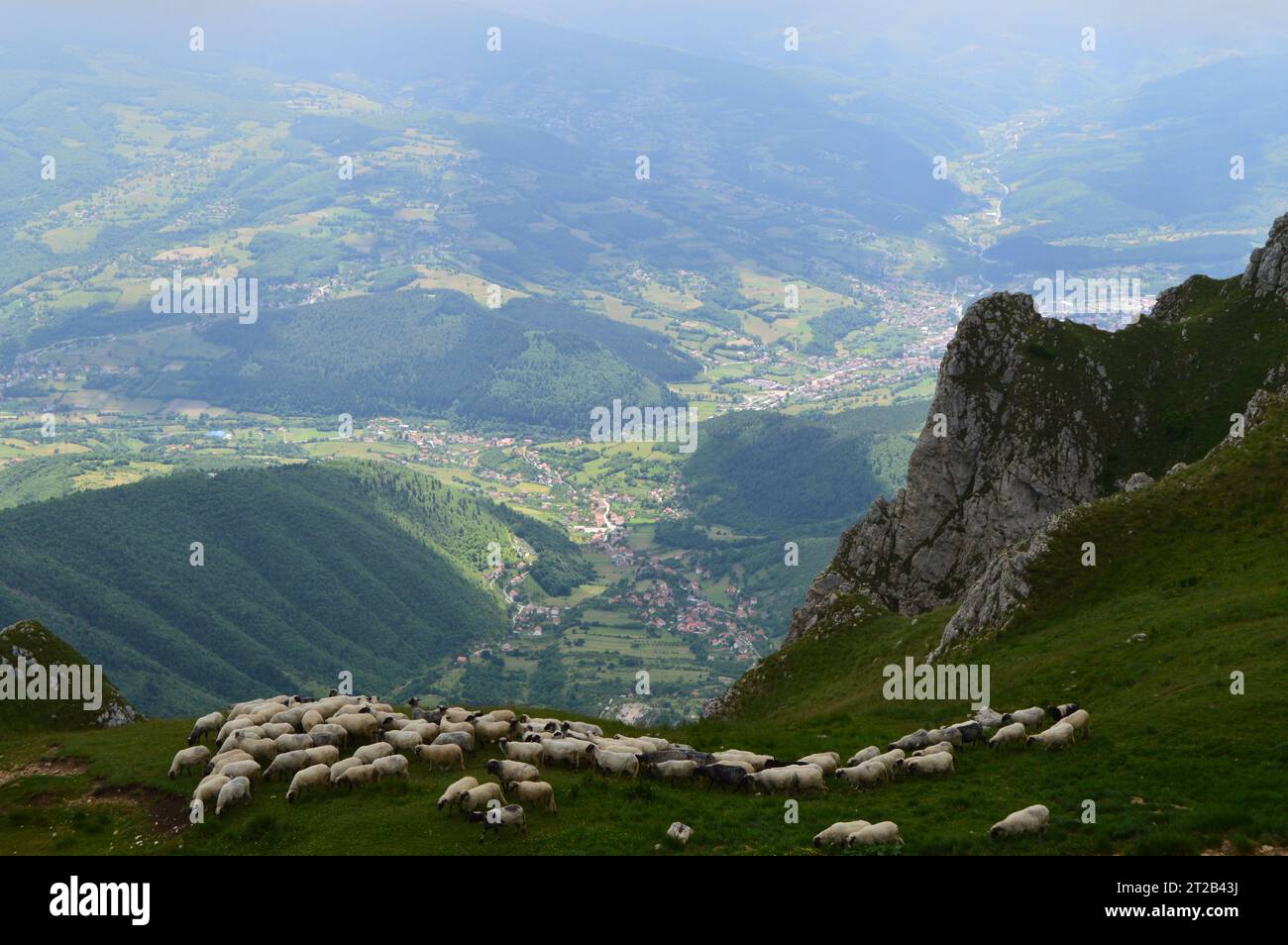 Vlasic bosnia hi-res stock photography and images - Alamy