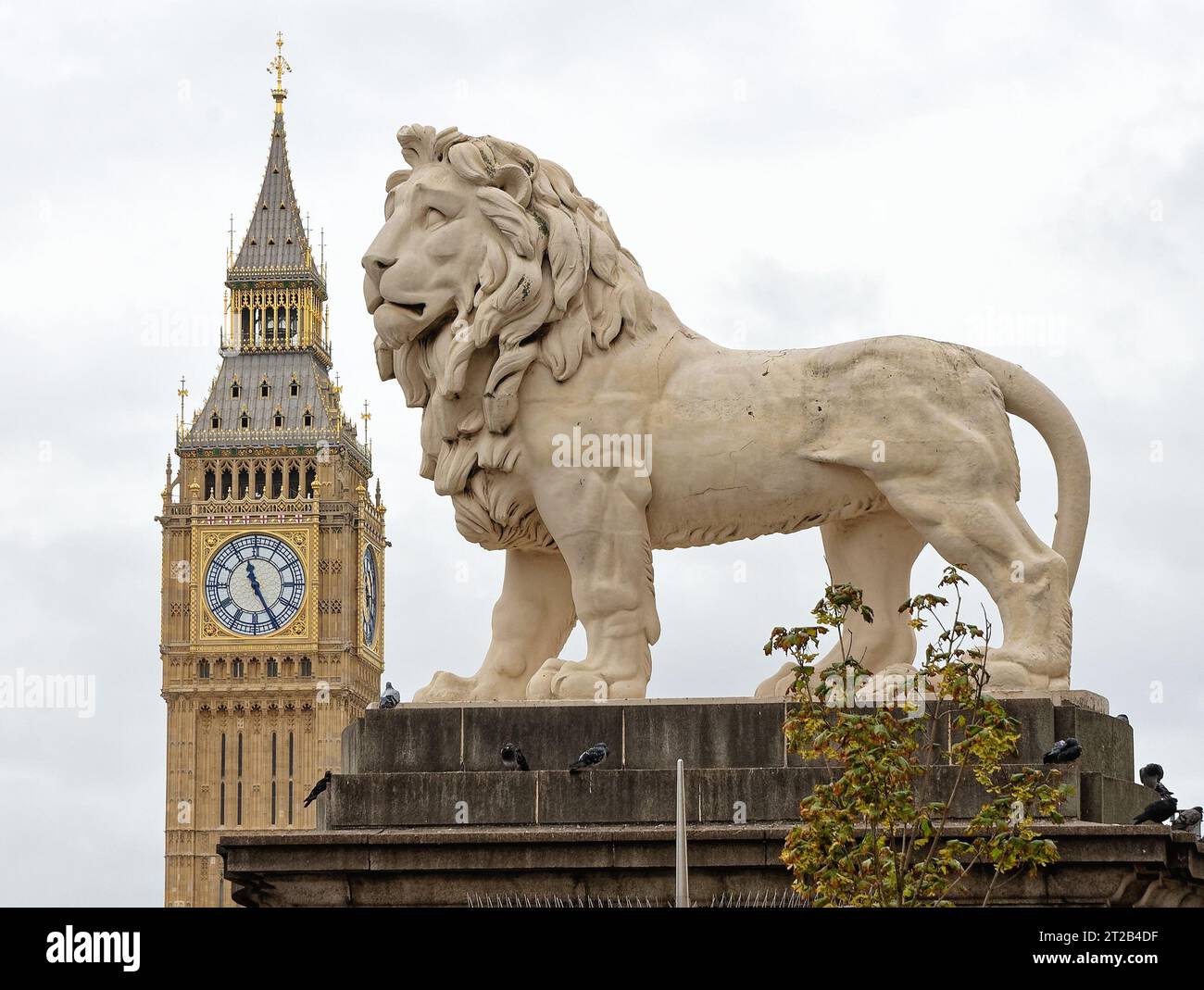 Elizabeth tower clock face hi-res stock photography and images - Alamy
