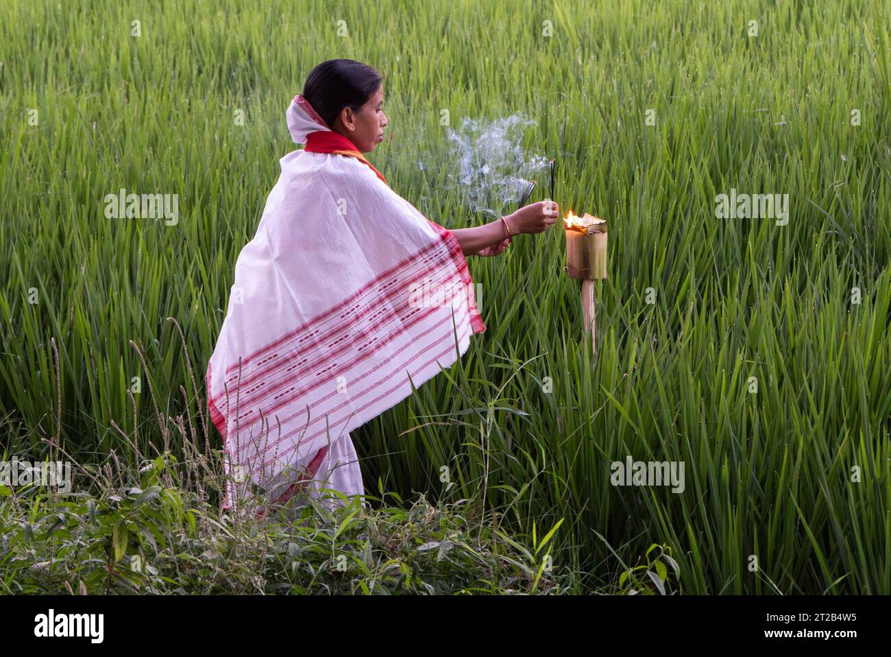 A Woman light Diya (Oil lamp) and incense sticks as she offer prayers ...