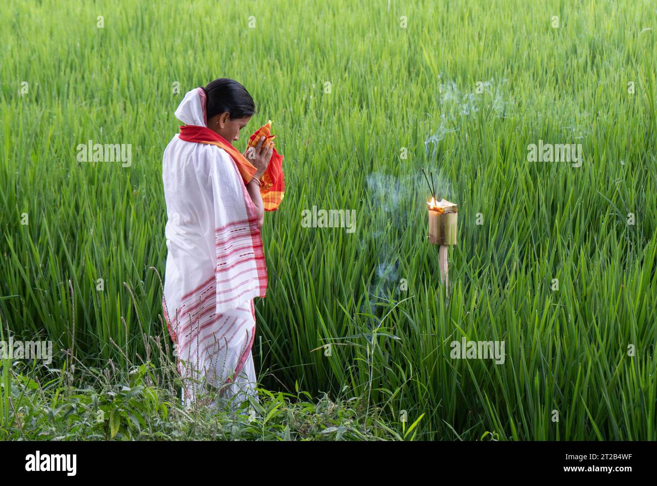 A Woman light Diya (Oil lamp) and incense sticks as she offer prayers ...