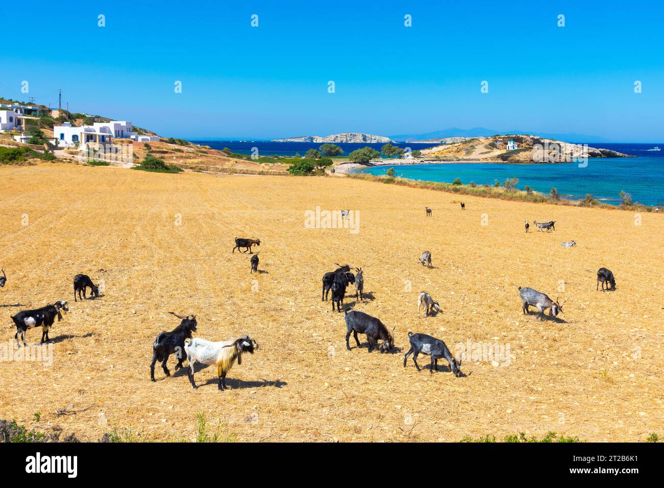 Island of lipsi hi-res stock photography and images - Alamy